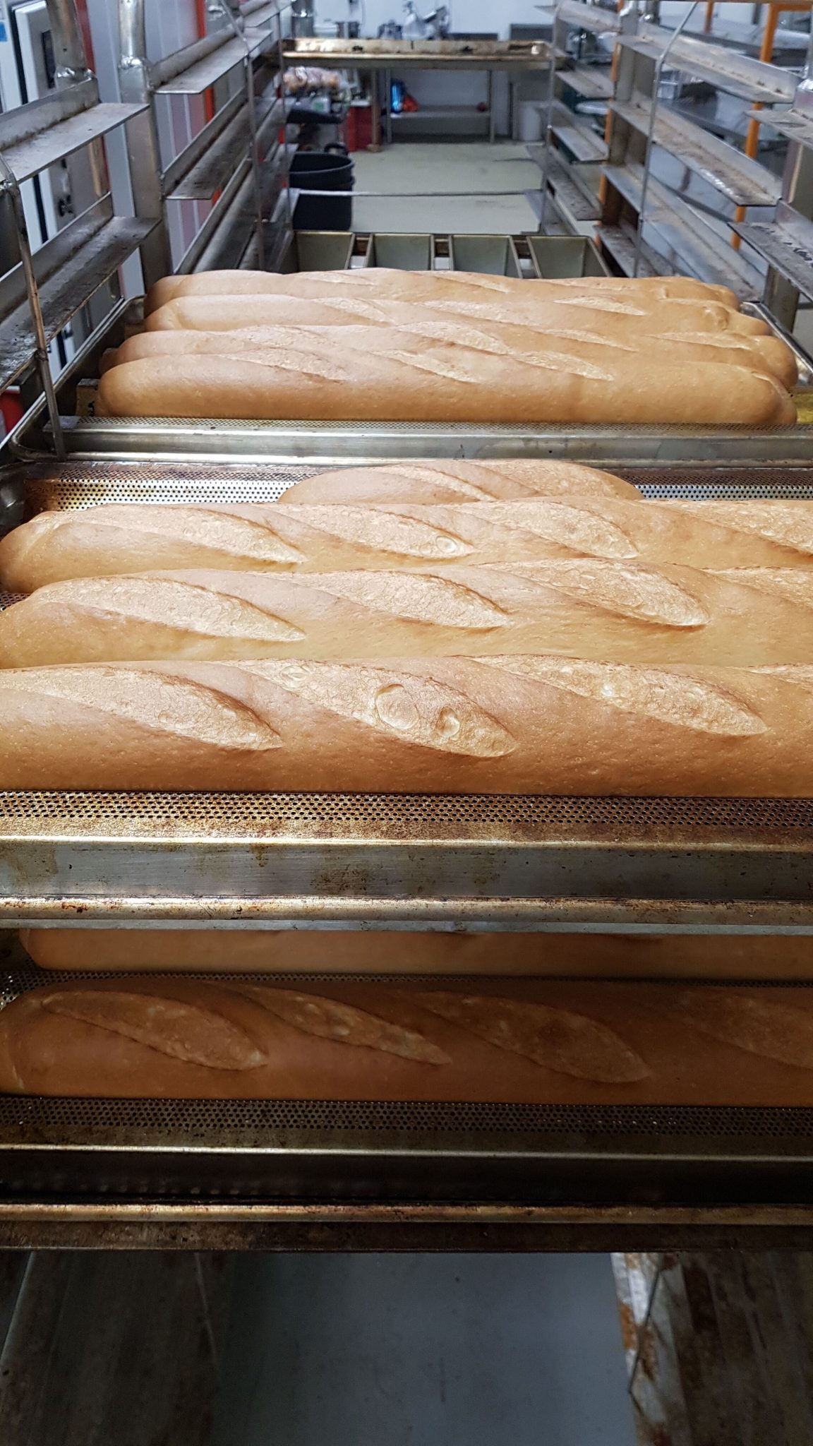 Halifax Bread | Order Online | Bakery Halifax, Dartmouth, Bedford