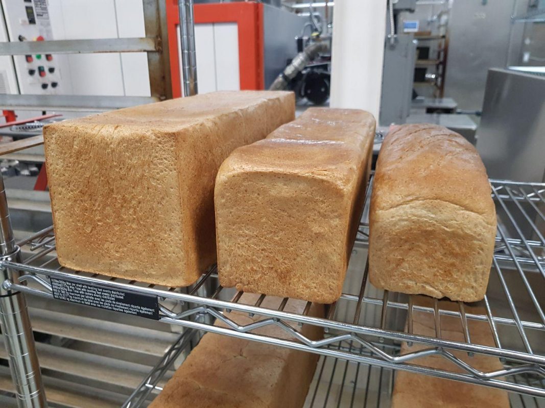 Whole Wheat Bread - Halifax Bread